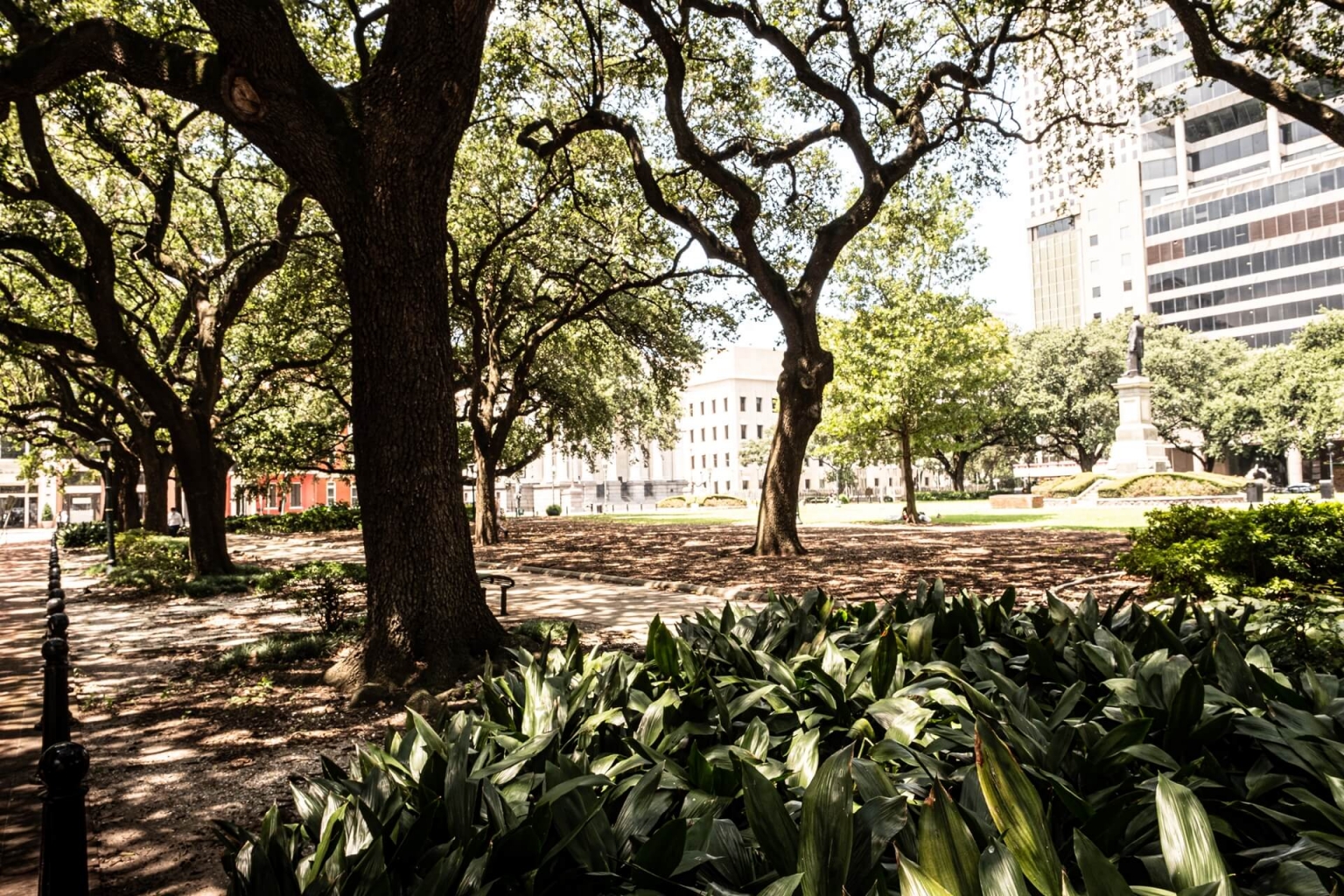 Experience the 930 Poydras Apartments Neighborhood